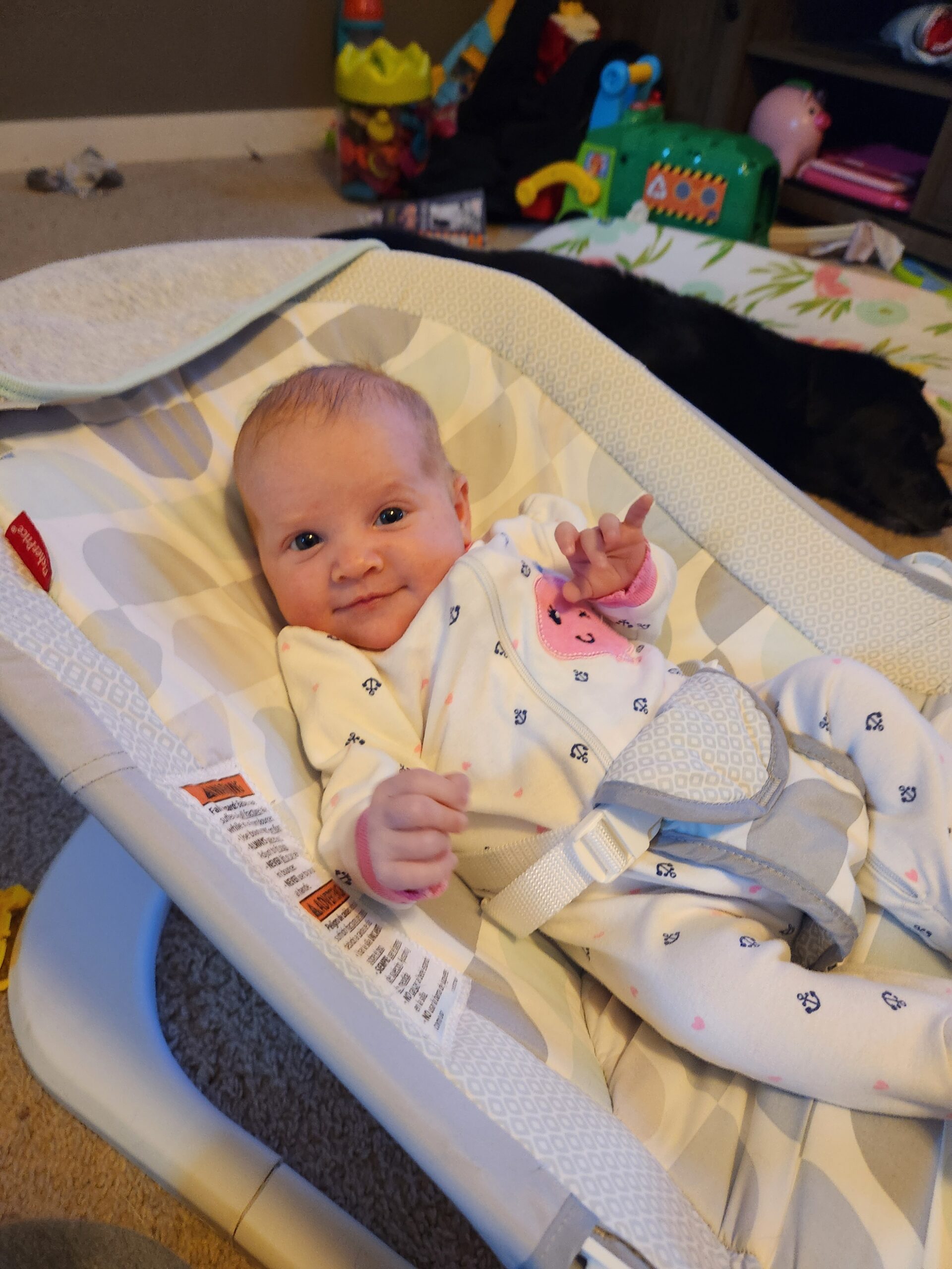 It's Our First Anniversary! | Sweetman Sanitation